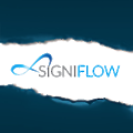 SigniFlow CEO and Key Executive Team | Craft.co