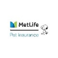 MetLife Pet Insurance CEO and Key Executive Team | Craft.co