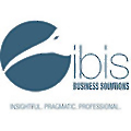 Ibis Solutions CEO and Key Executive Team | Craft.co