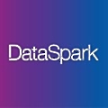 DataSpark CEO and Key Executive Team | Craft.co