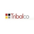 Tribalco CEO and Key Executive Team | Craft.co